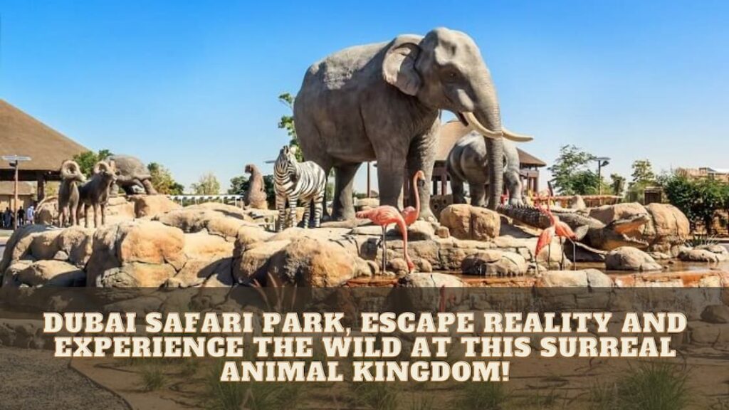 Dubai Safari Park, Escape Reality and Experience the Wild at This ...